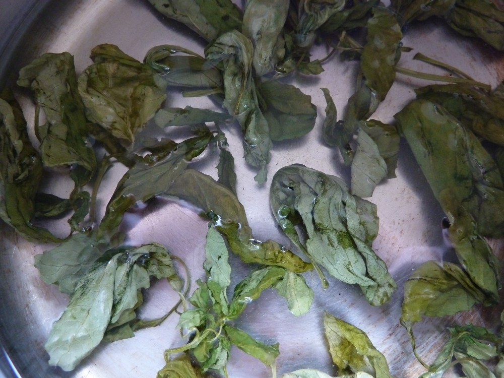 Rickshaw Cocktail – Walsh Cooks – An Edmonton Food Blog